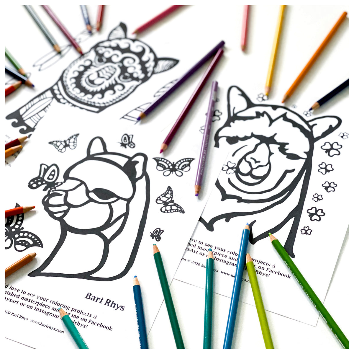 Alpaca Coloring Pages – Bari Rhys